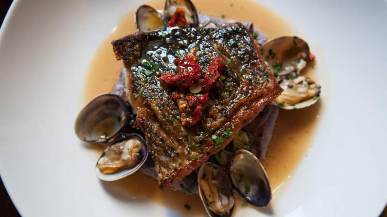 Scoula is in Session | Check, Please! | WTTW Chicago